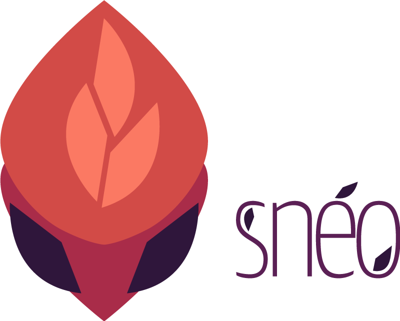 Création de site internet - Jura, Doubs | Sneo